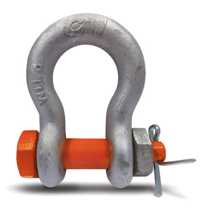 Fabricant de manilles de levage robustes pour l'industrie